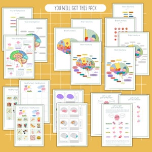 Human Brain Anatomy, Brain Parts Matching, Printable Preschool Science ...
