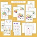 Human Brain Anatomy, Brain Parts Matching, Printable Preschool Science ...
