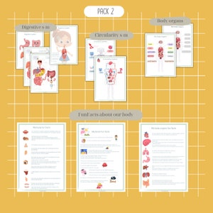 Human Anatomy Busy Book, Printable Preschool Worksheets,60 Pdf Pages ...