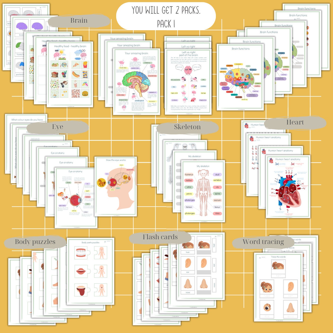 Human Anatomy Busy Book, Printable Preschool Worksheets,60 Pdf Pages ...