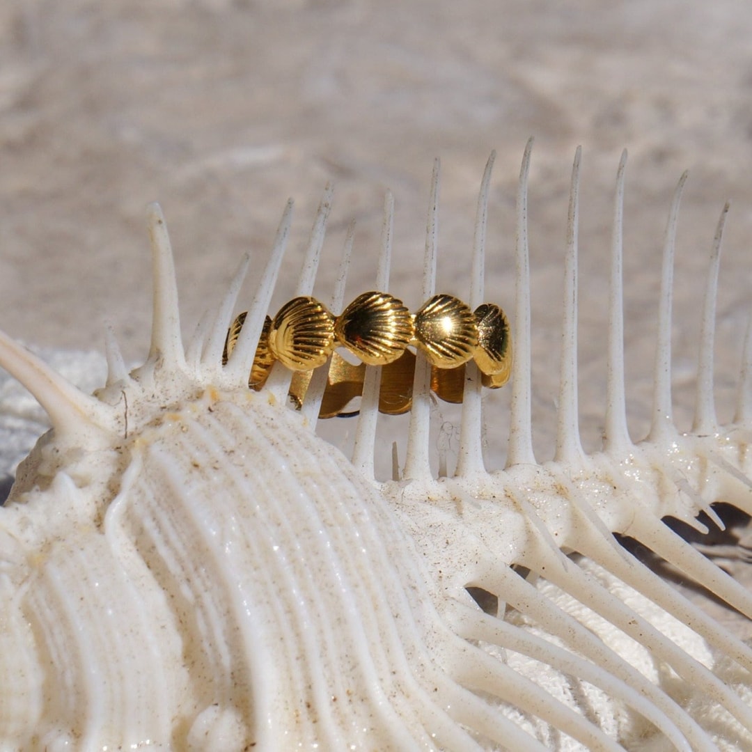 Seashell Gold Ring, 18K Plated, Waterproof Beach Jewelry, Cockle Shell ...