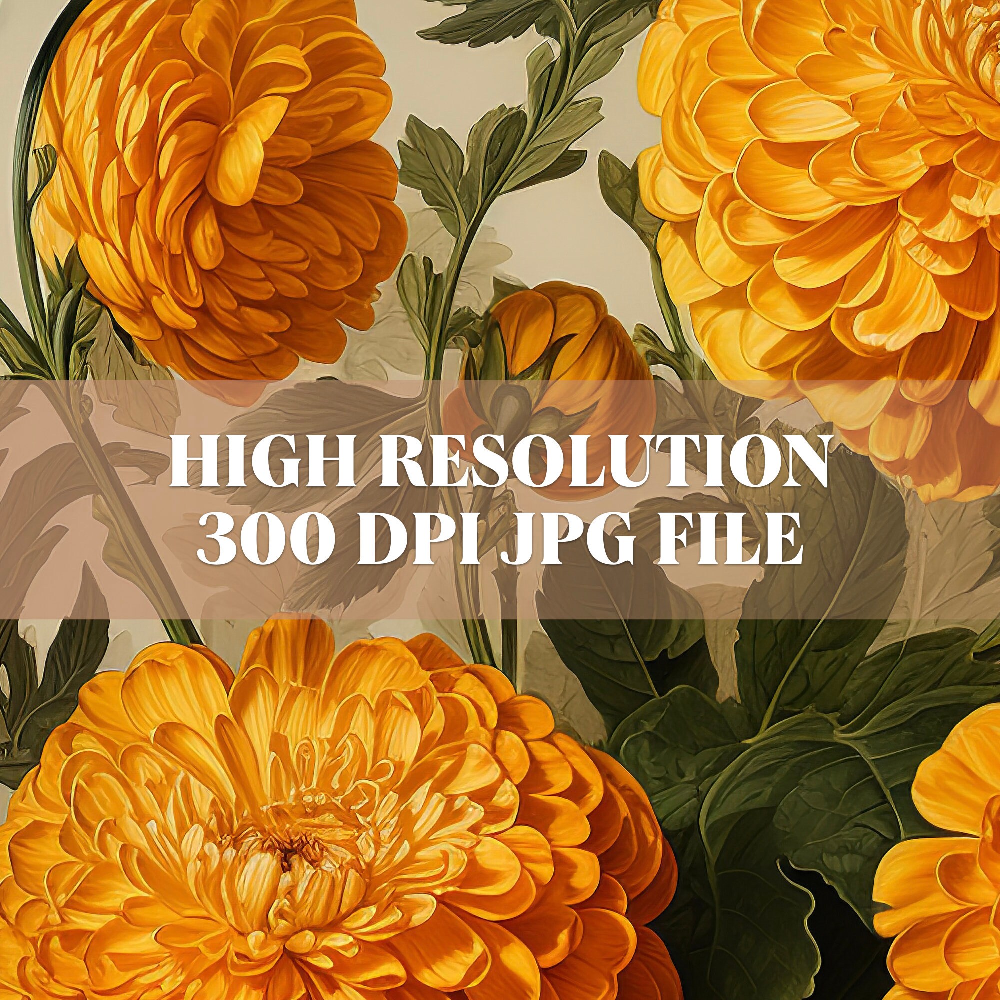 Marigold Printable | Vintage Plant | Digital Download | Botanical ...