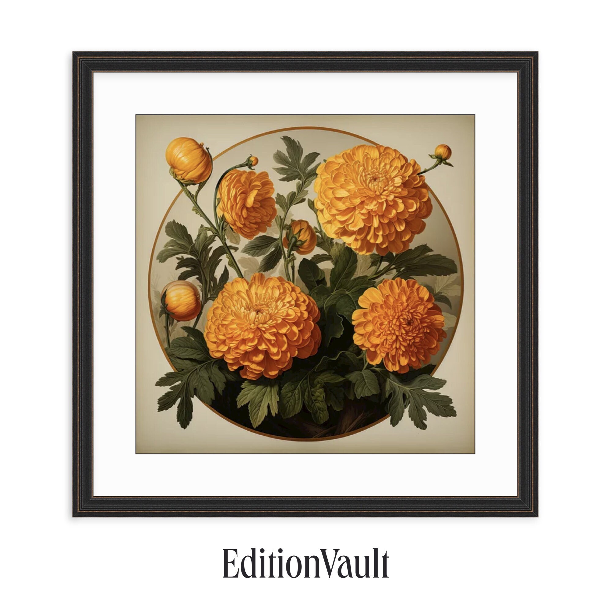 Marigold Printable | Vintage Plant | Digital Download | Botanical ...