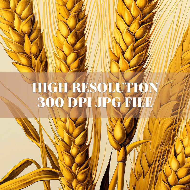 Wheat Plant Printable | Vintage Botanical | Digital Download | Wheat ...