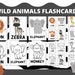 Printable Wild Animals Flashcards BONUS Free Worksheets ESL Animal ...