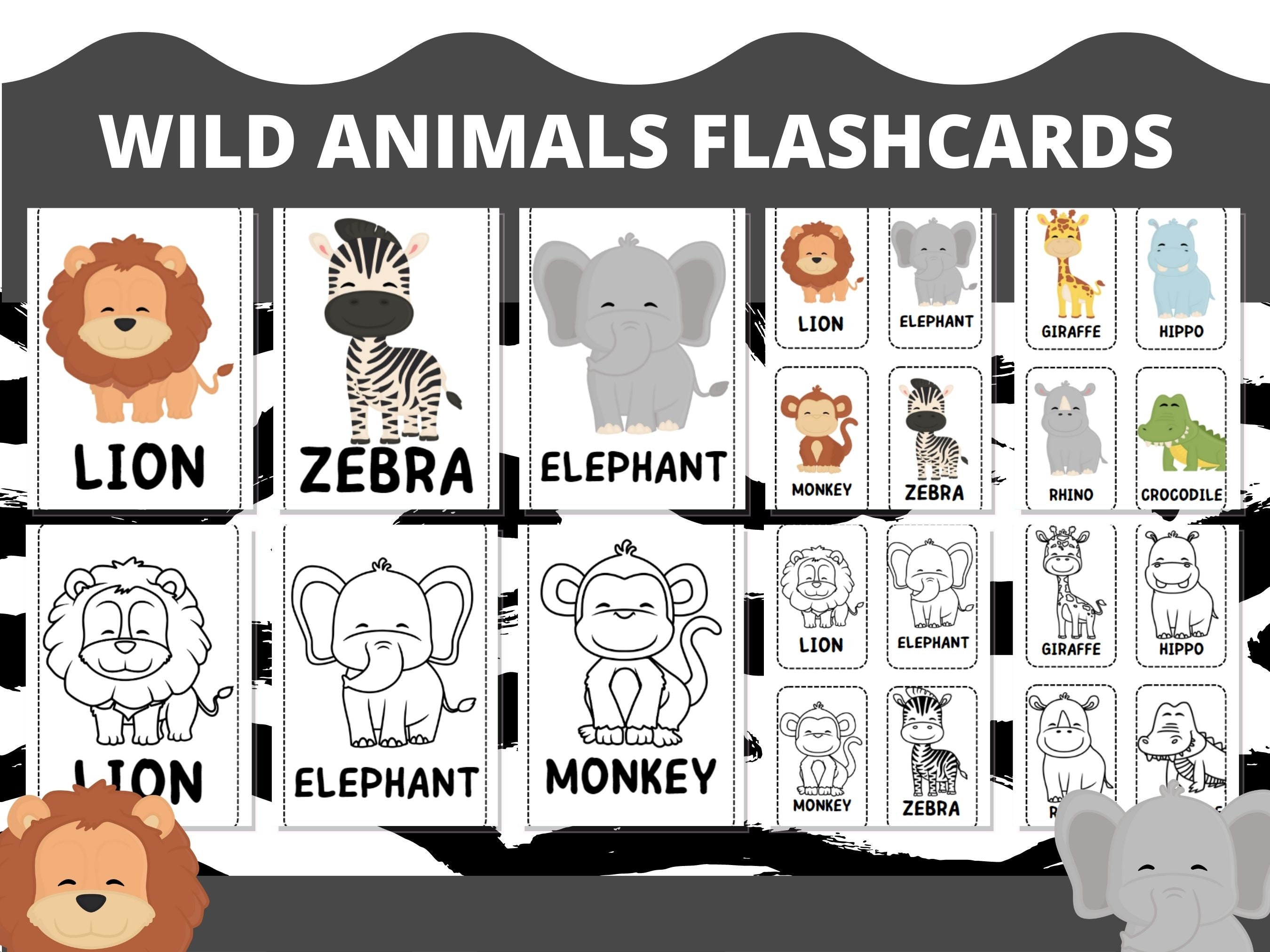 Printable Wild Animals Flashcards BONUS Free Worksheets ESL Animal ...