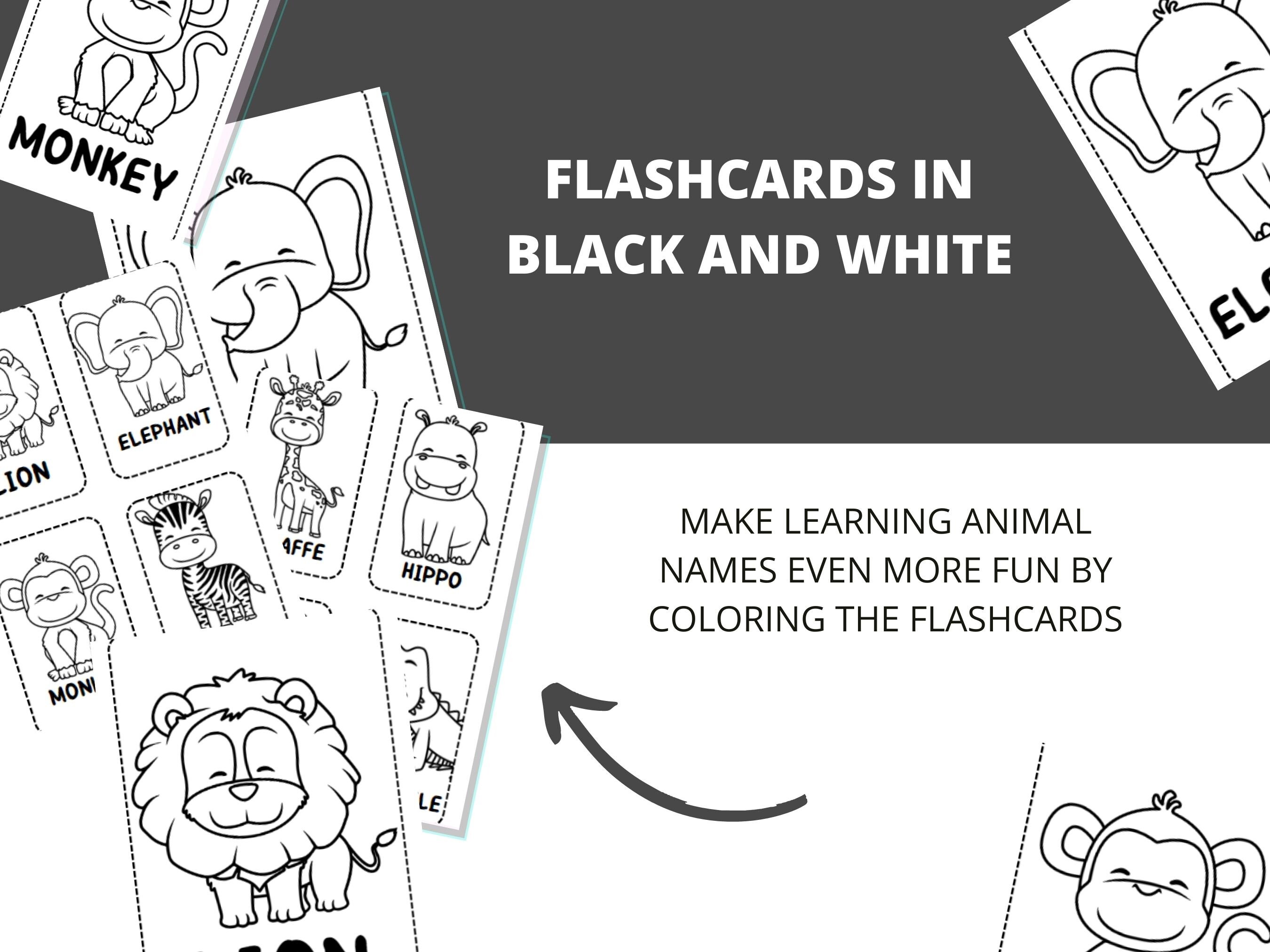 Printable Wild Animals Flashcards BONUS Free Worksheets ESL Animal ...