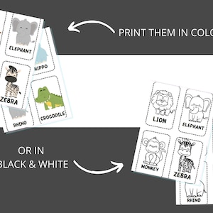 Printable Wild Animals Flashcards BONUS Free Worksheets ESL Animal ...