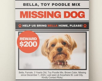 lost and found missing poster