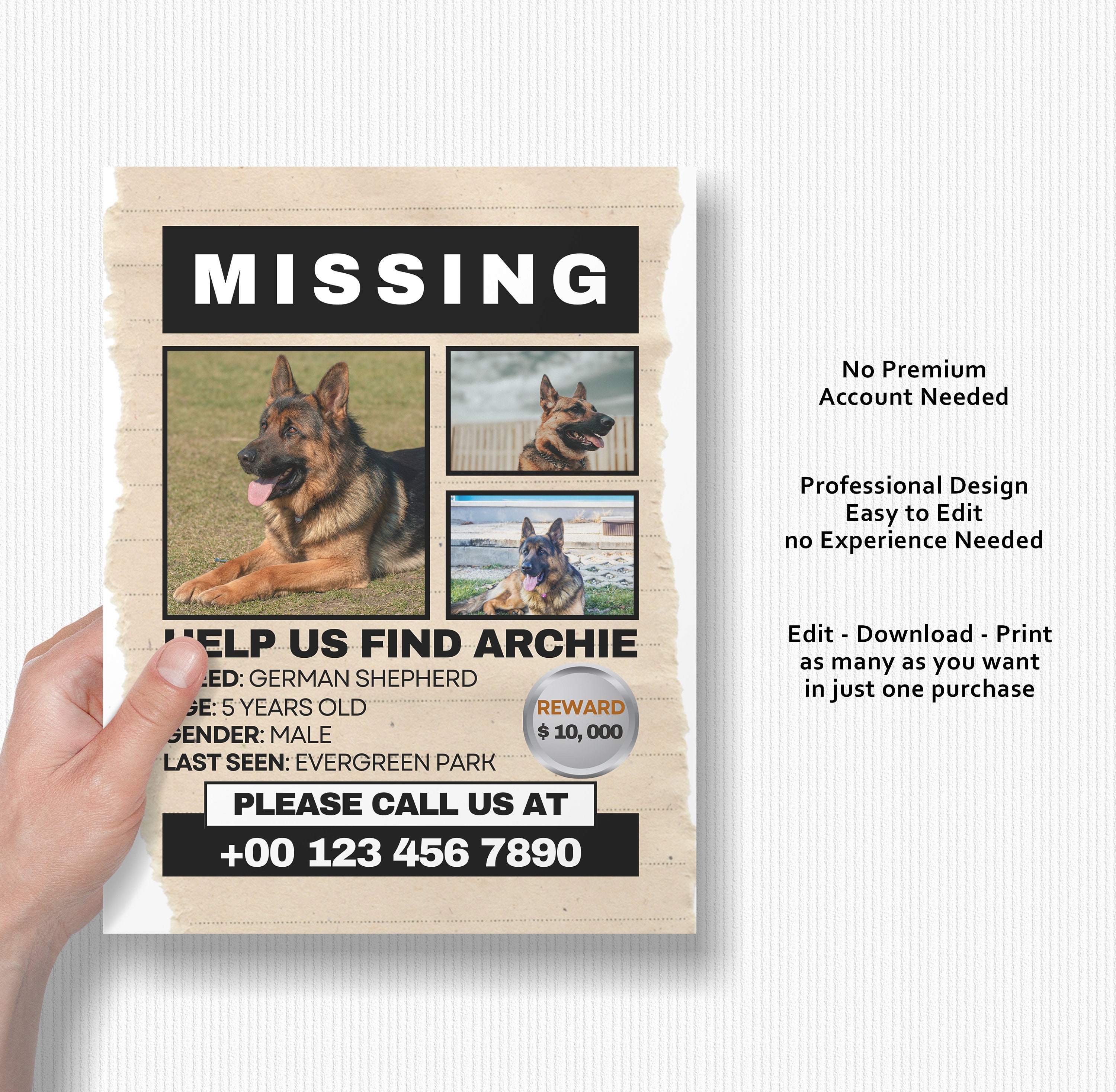 Missing Dog Poster Template, DIY Missing Pet Sign, Lost Pet Flyer, Dog ...
