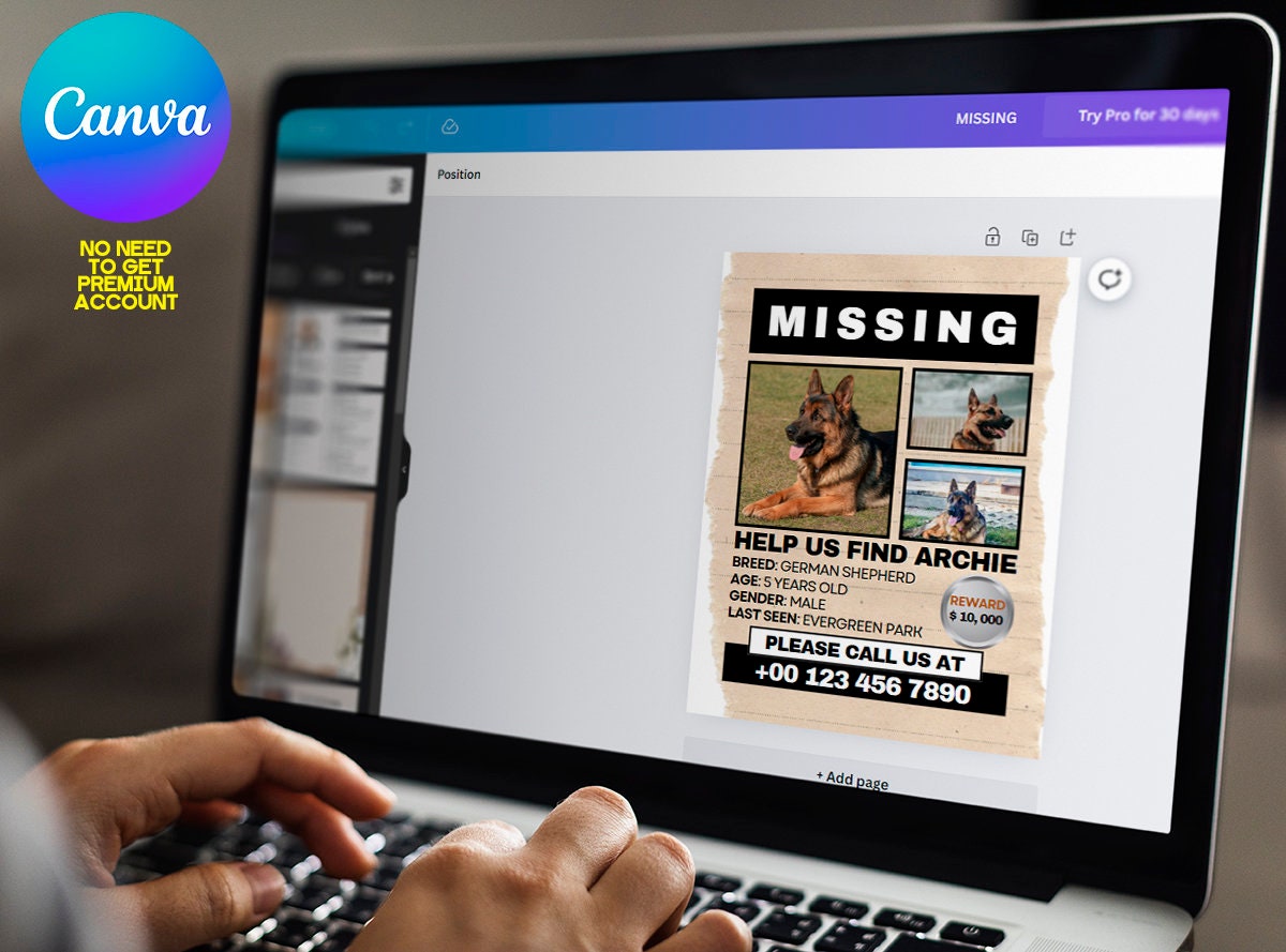 Missing Dog Poster Template, DIY Missing Pet Sign, Lost Pet Flyer, Dog ...