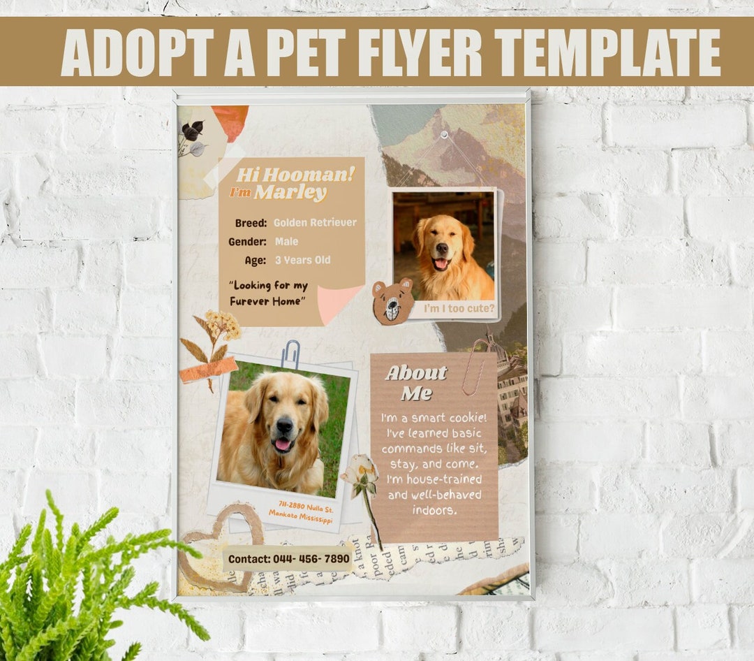 Adopt Me Flyer Template, Adopt A Pet Poster Template, Dog Adoption ...