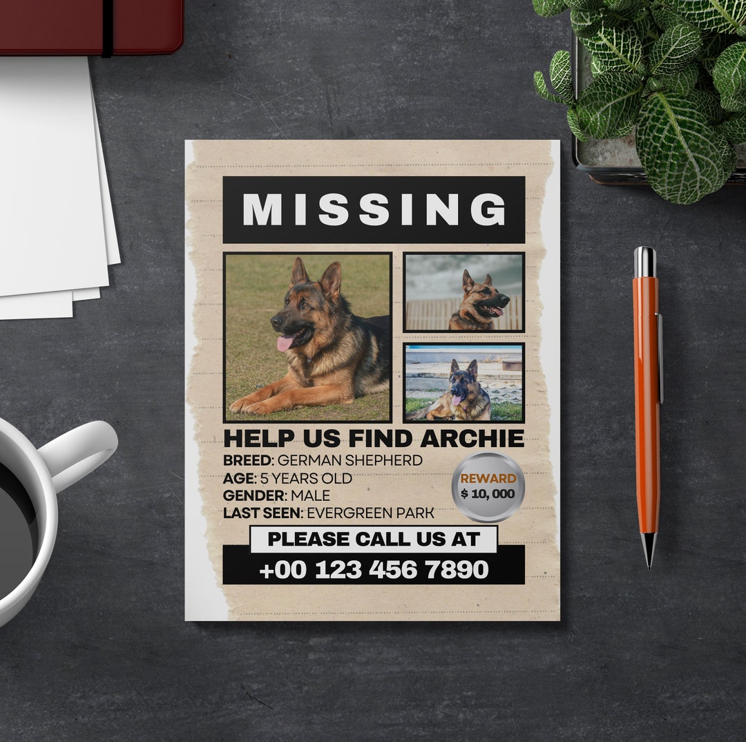 Missing Dog Poster Template, DIY Missing Pet Sign, Lost Pet Flyer, Dog ...
