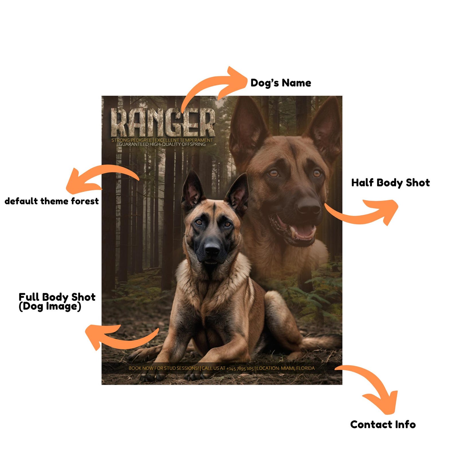 Custom Stud Dog Advertising Poster: Kennel Banner (digital) - Etsy