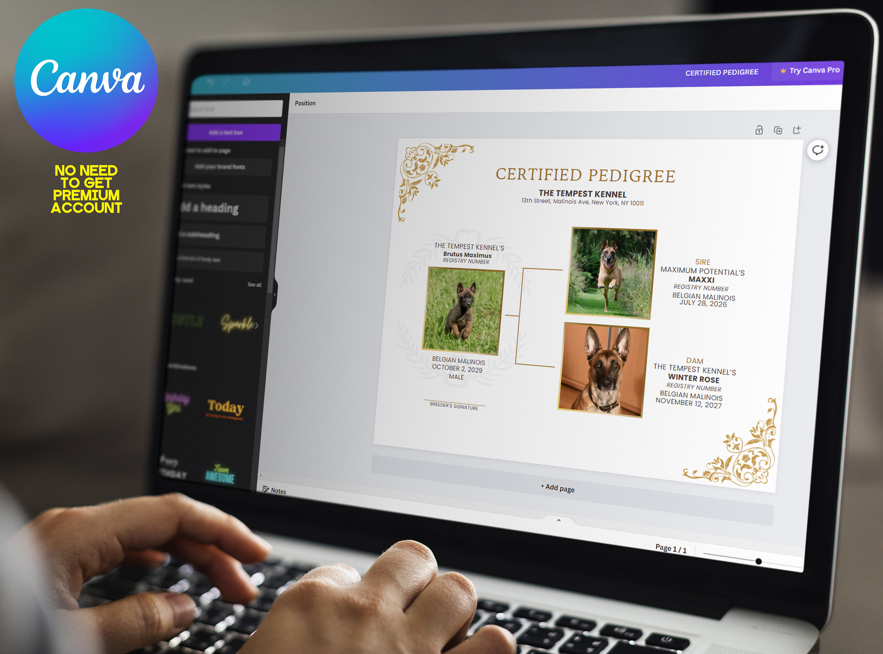 Dog Pedigree Chart, Printable Pedigree Certificate, Puppy Pedigree ...