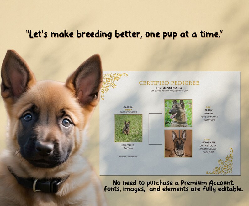 Dog Pedigree Chart Template: Printable Puppy Certificate (canva) - Etsy