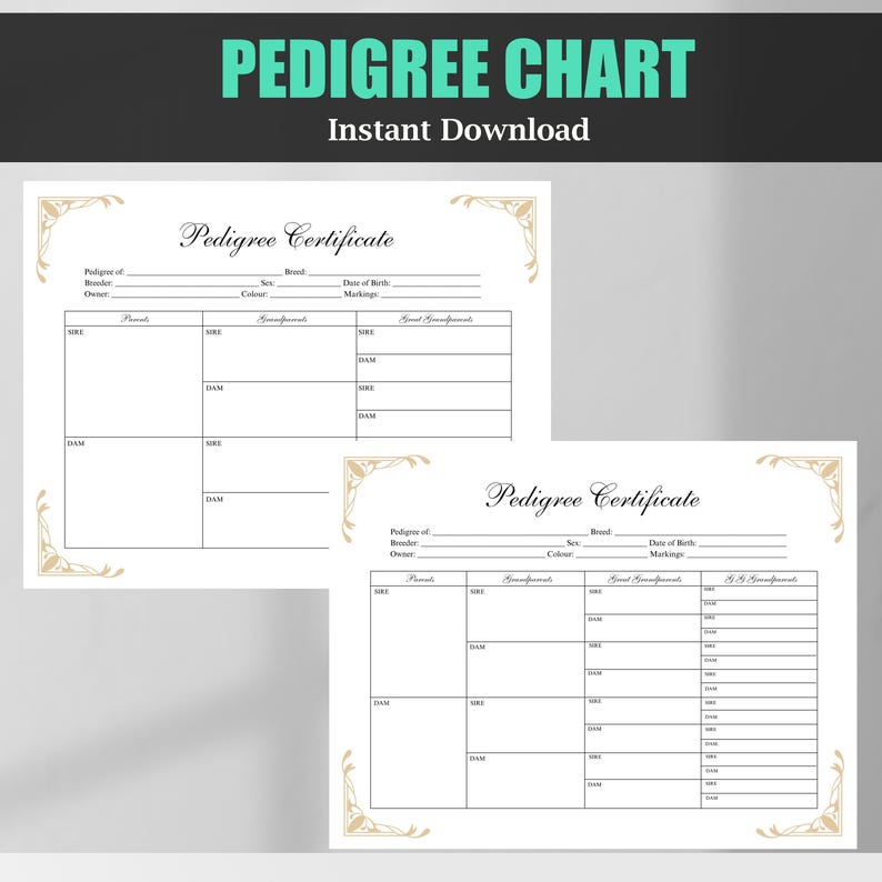 Pedigree Chart Printable, 3 - 4 Generation Pedigree Certificate ...