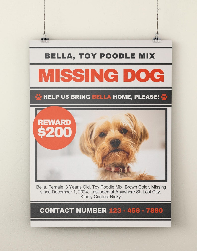 Missing Dog Flyer Poster Template, DIY Missing Pet Sign, Lost Pet Flyer ...