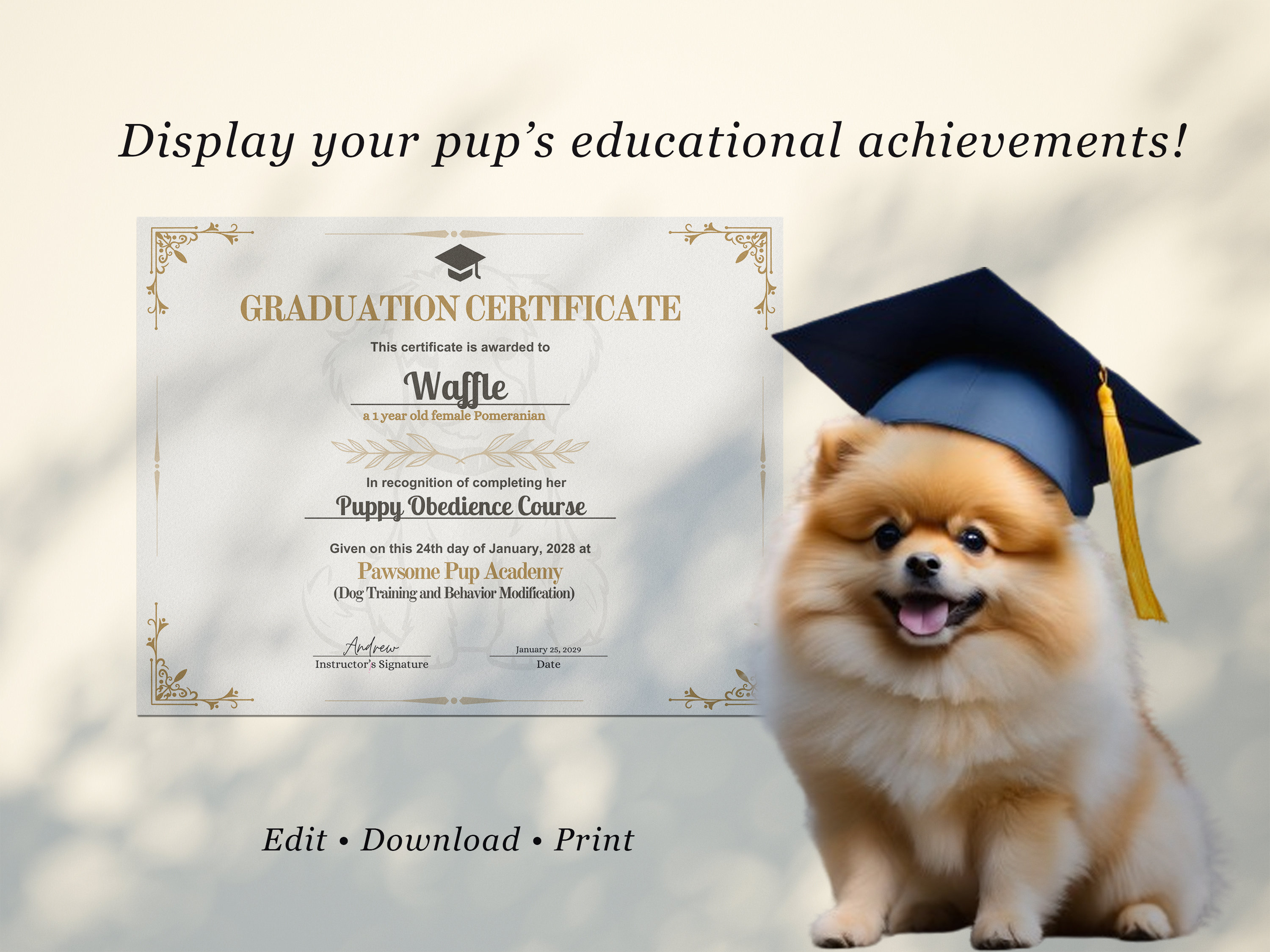 Dog Training Certificate, Service Dog, Certificate of Completion ...