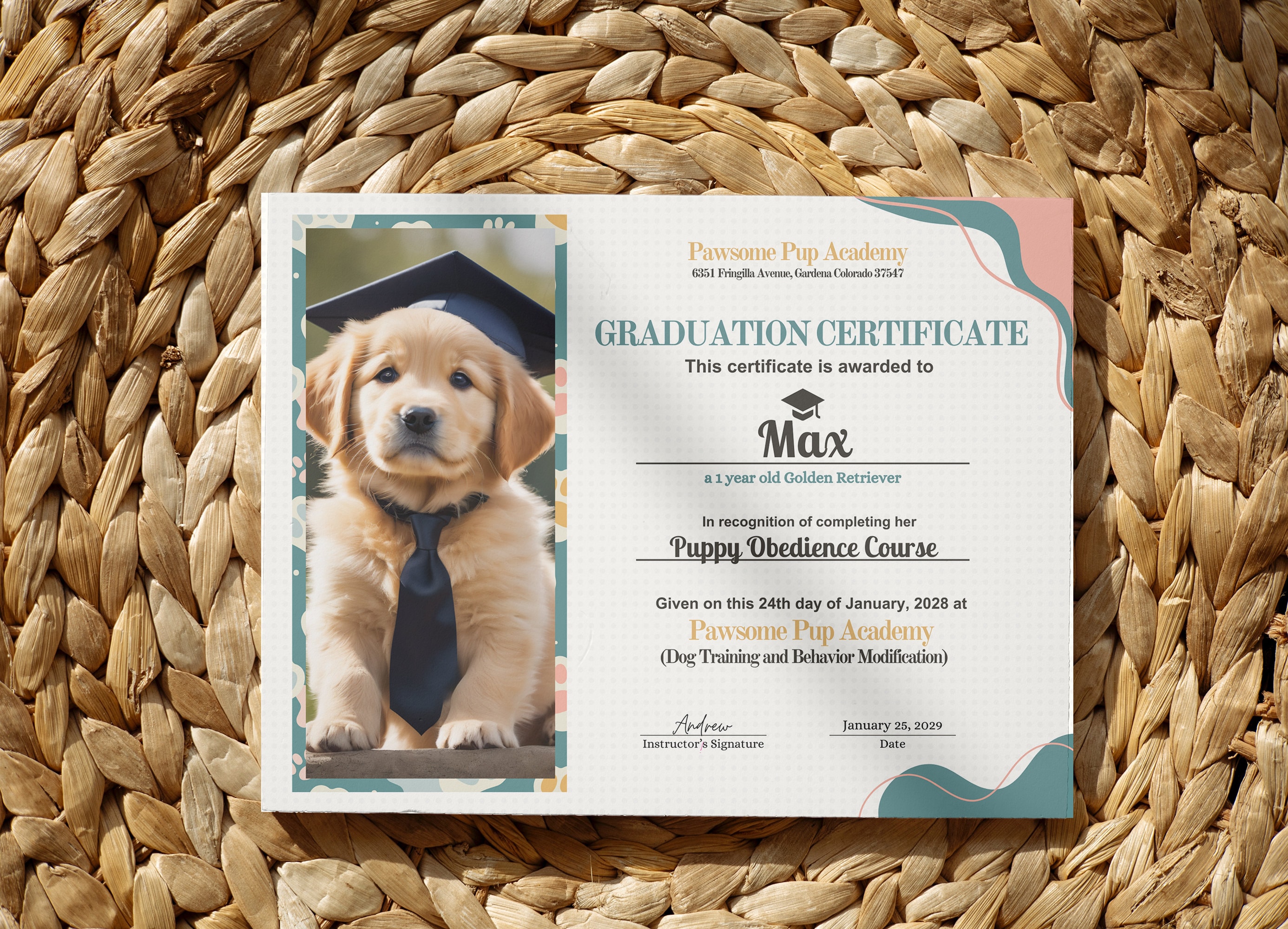 Dog Training Certificate Template: Puppy Graduation Diploma (canva) - Etsy