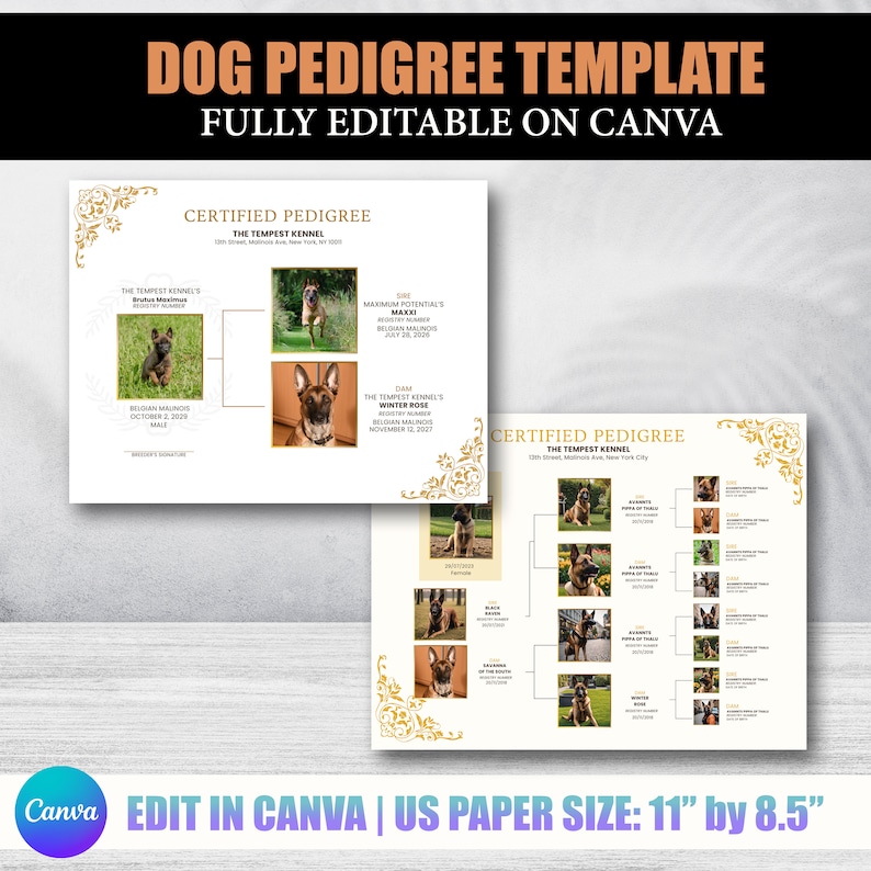 Dog Pedigree Chart, Printable Pedigree Certificate, Puppy Pedigree ...