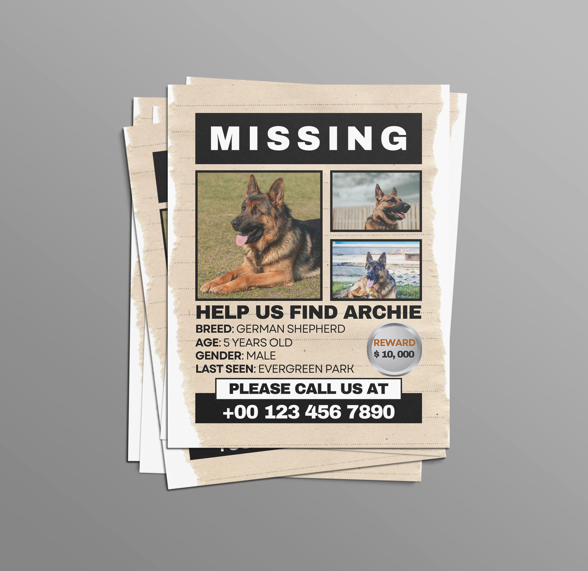 Missing Dog Poster Template, DIY Missing Pet Sign, Lost Pet Flyer, Dog ...