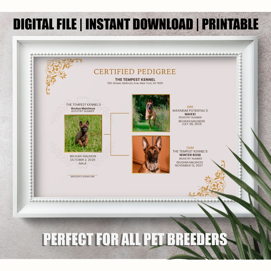 Dog Pedigree Chart, Printable Pedigree Certificate, Puppy Pedigree ...