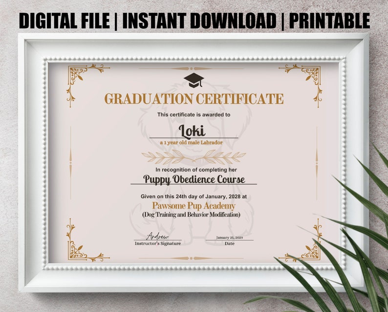 Dog Training Certificate, Service Dog, Certificate of Completion ...