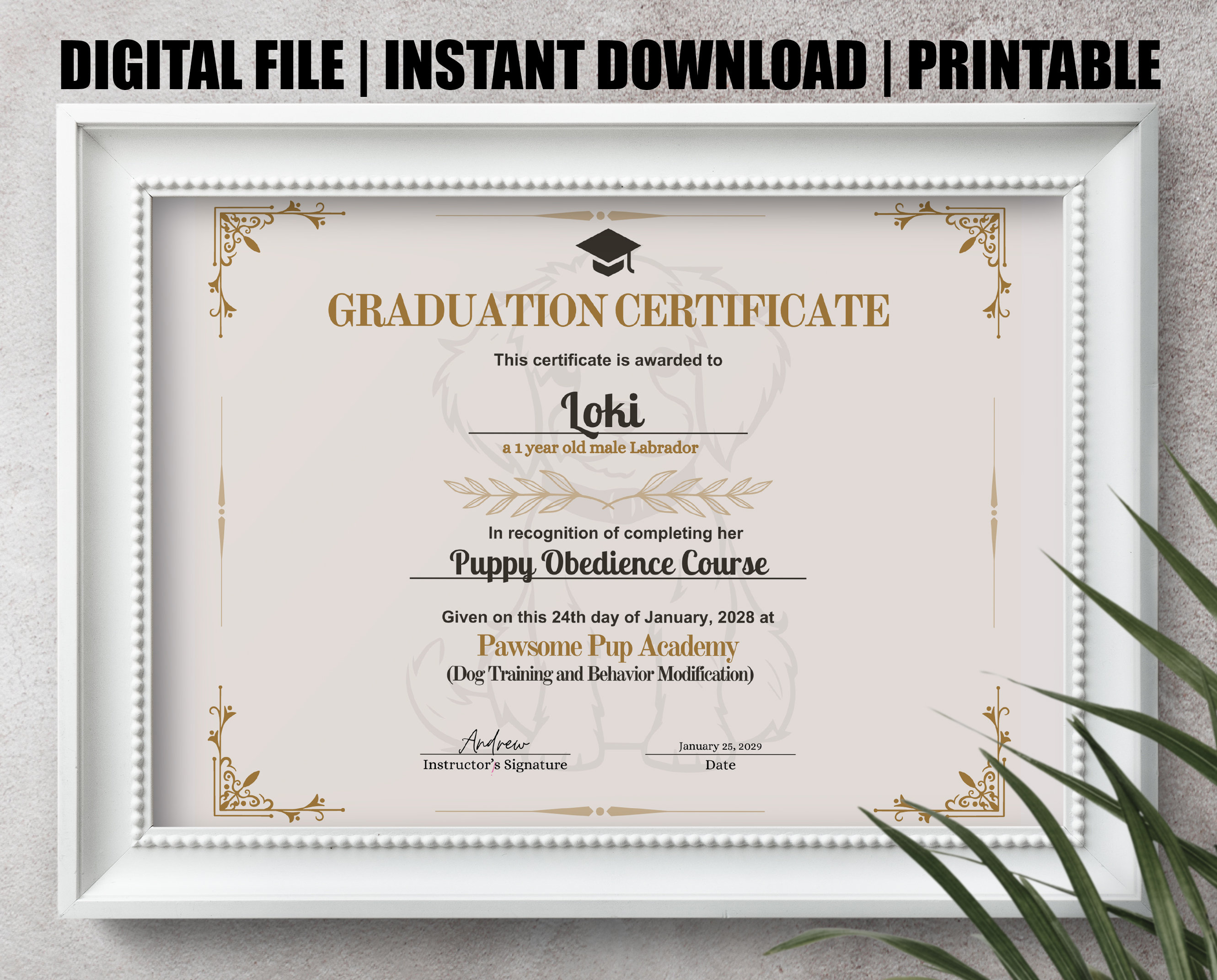 Dog Training Certificate, Service Dog, Certificate of Completion ...