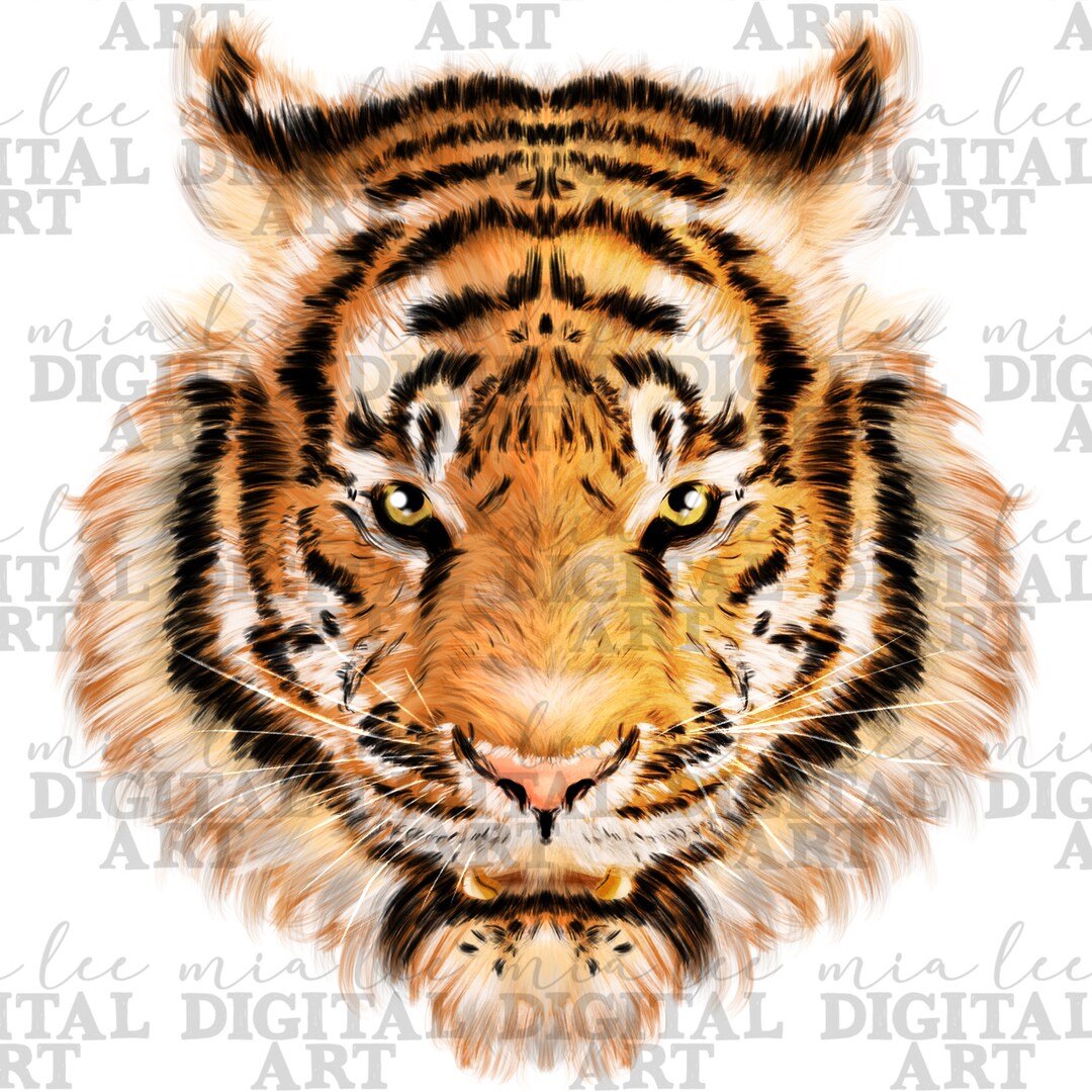 Tiger Png Sublimation Design Download, Hand Drawn Tiger Png, Tiger Face ...