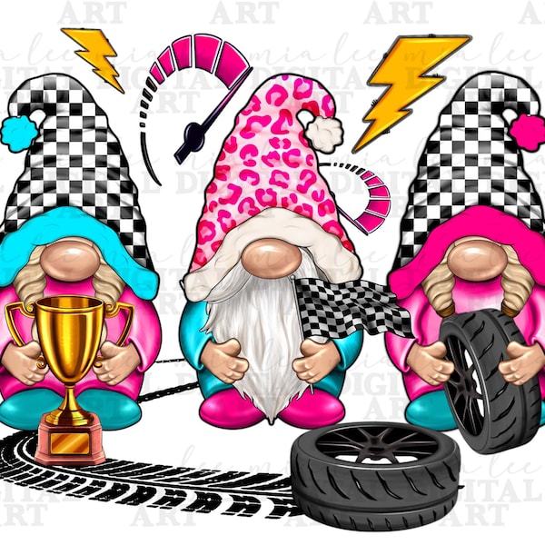 Racing Gnomes - Etsy