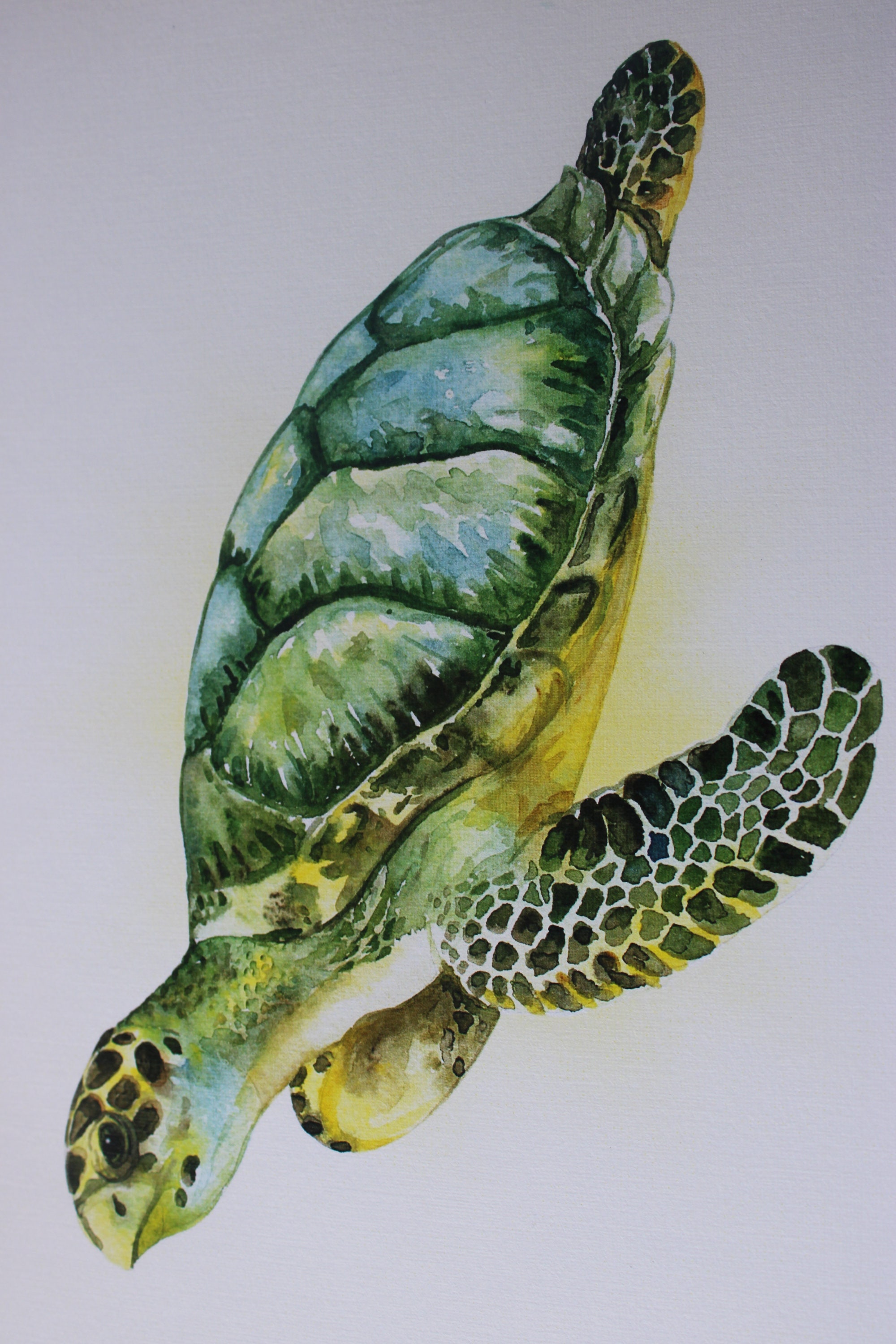 Hawaii Nature Wall Art, Sea Turtle Art, Hawaii, Positive Affirmation ...