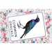 32 PNG Winter Birds Montessori Flashcards, Toddler Activity ...