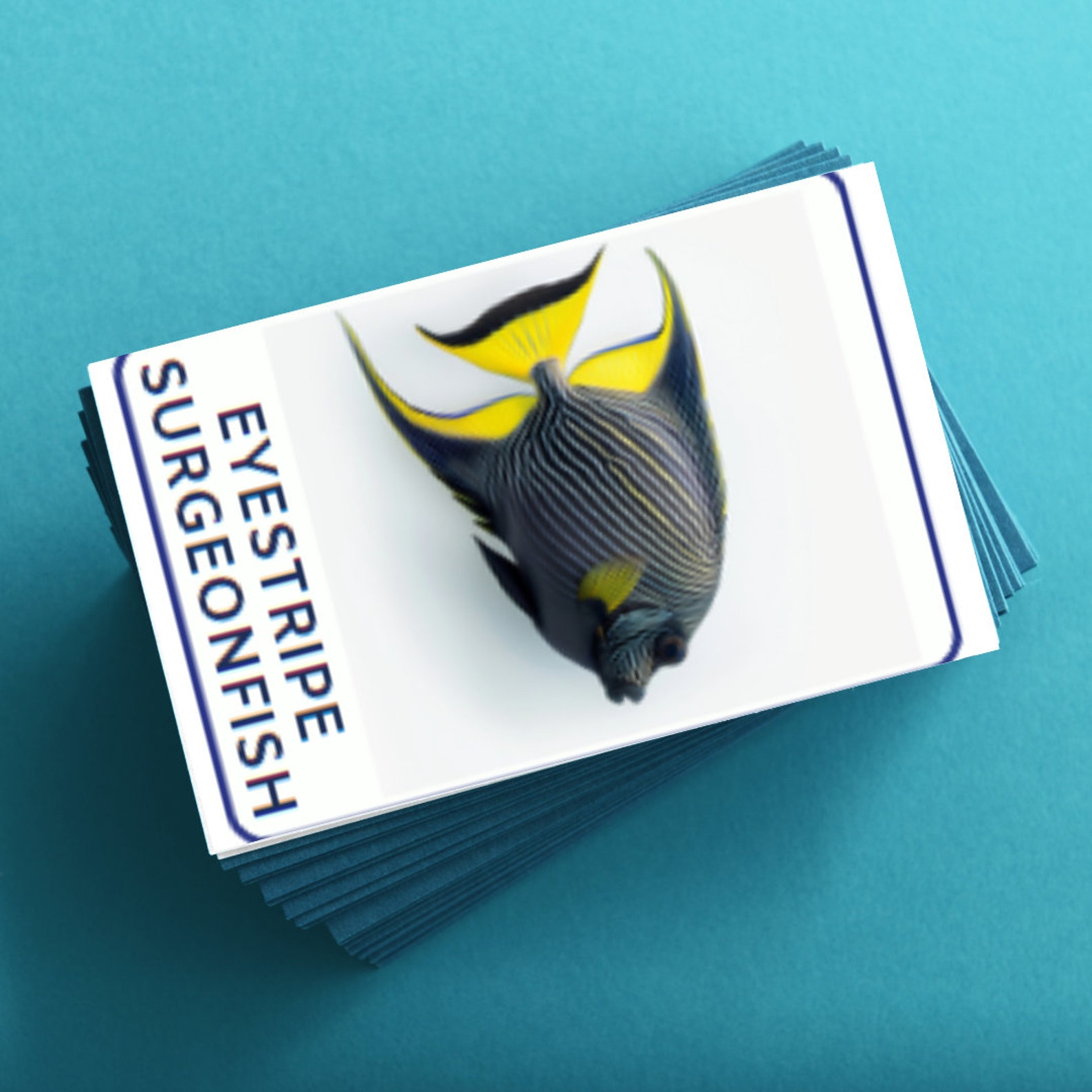 Perfectly Adorable, 32 Fish Species Flashcards for Kids and Toddlers ...