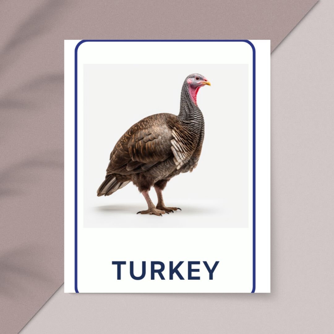 Farm Animals Montessori Flashcards 32 Editable Nomenclature Cards for ...