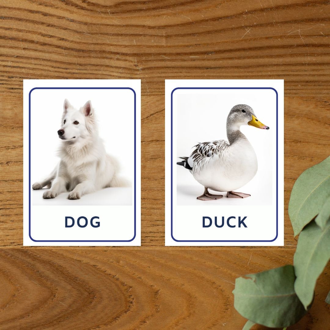 Farm Animals Montessori Flashcards 32 Editable Nomenclature Cards for ...
