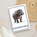 32 Forest Animals Flashcards, Kids Printable, Nomenclature Cards ...