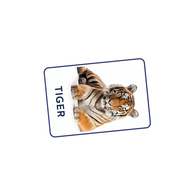 32 Forest Animals Flashcards, Kids Printable, Nomenclature Cards ...