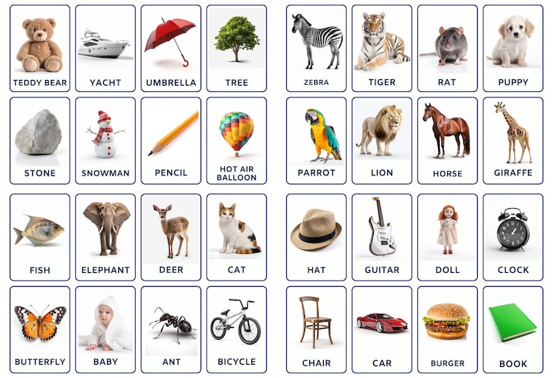 32 Living & Non Living Things Flashcards, Kids Printable, Nomenclature ...