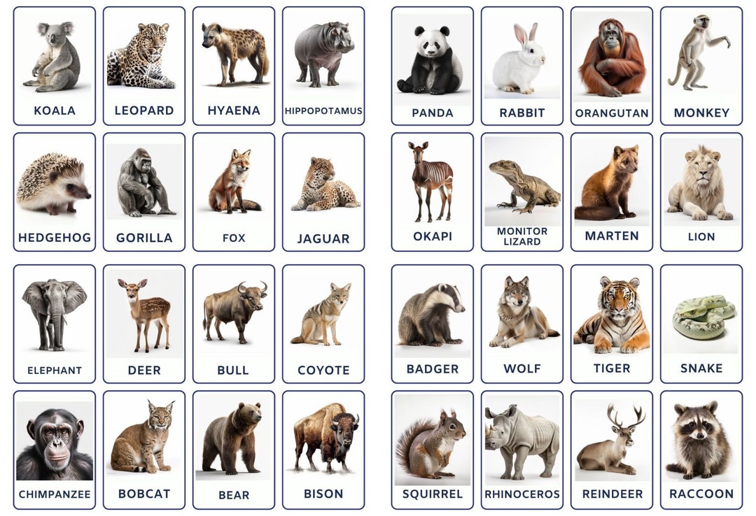 32 Forest Animals Flashcards, Kids Printable, Nomenclature Cards ...