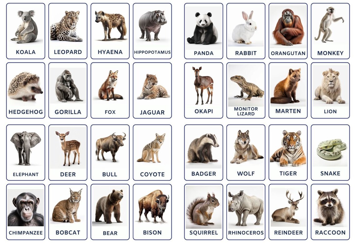32 Forest Animals Flashcards, Kids Printable, Nomenclature Cards ...