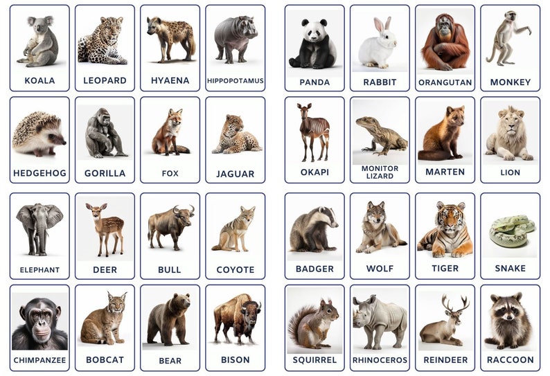 32 Forest Animals Flashcards, Kids Printable, Nomenclature Cards ...