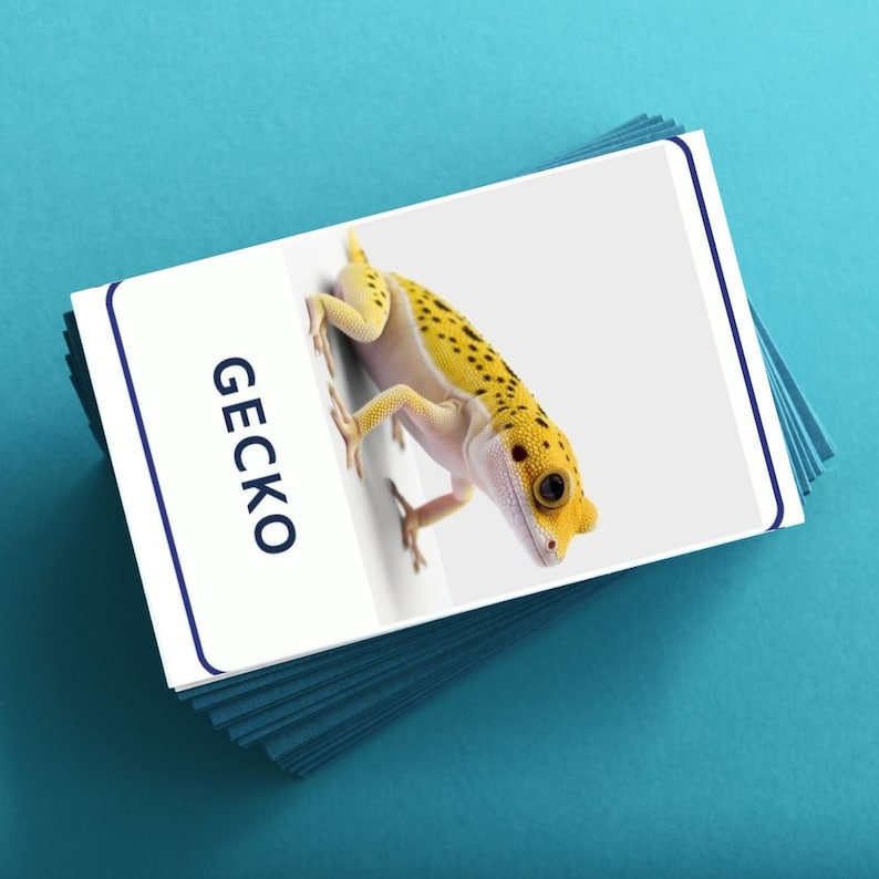 32 Amphibians and Reptiles Photo Flashcards: Amphibians and Reptiles ...