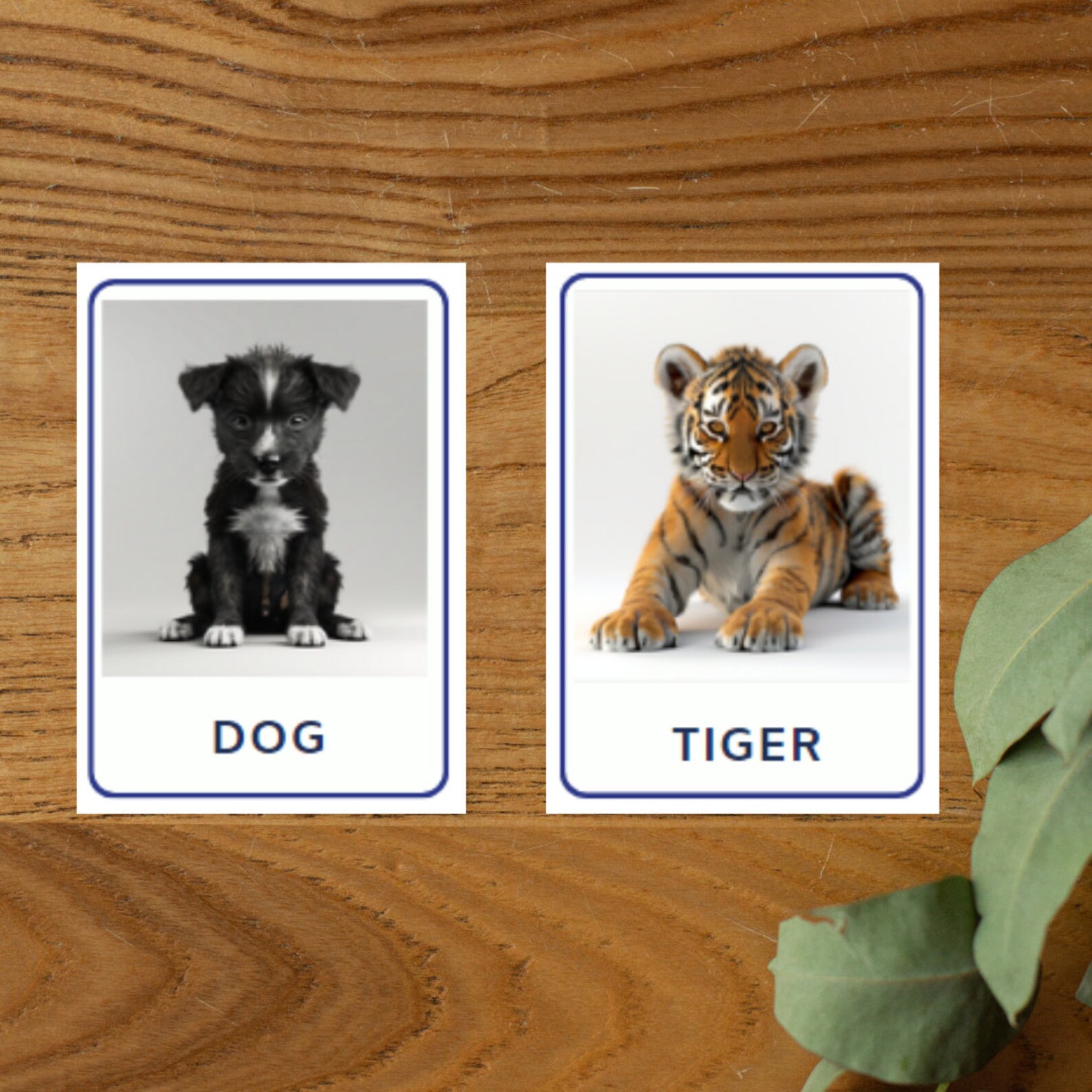 32 Baby Animals Flashcards Designed for Children, Toddler Activity ...