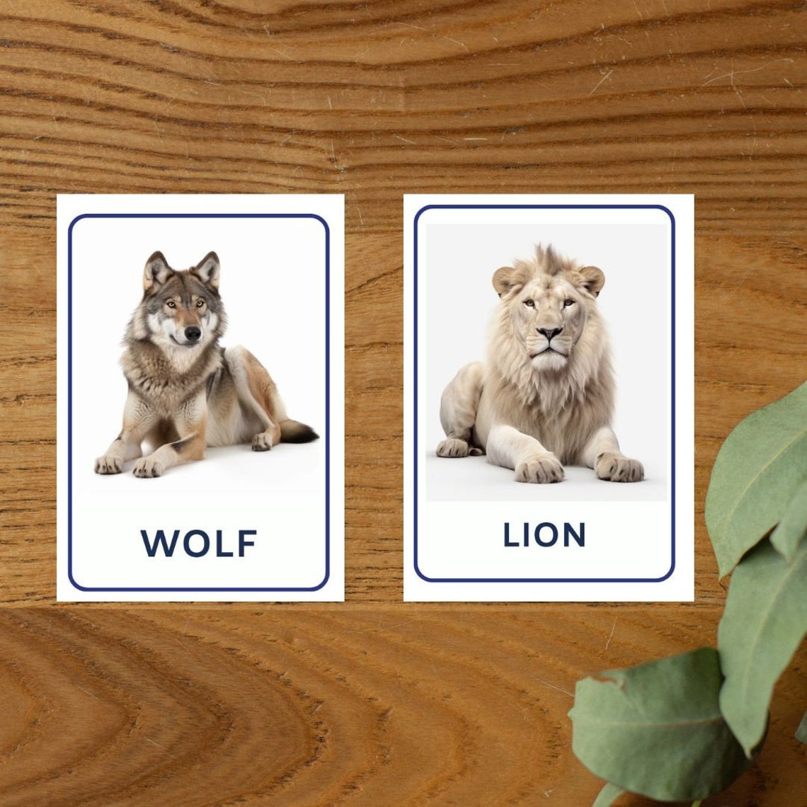 32 Forest Animals Flashcards, Kids Printable, Nomenclature Cards ...