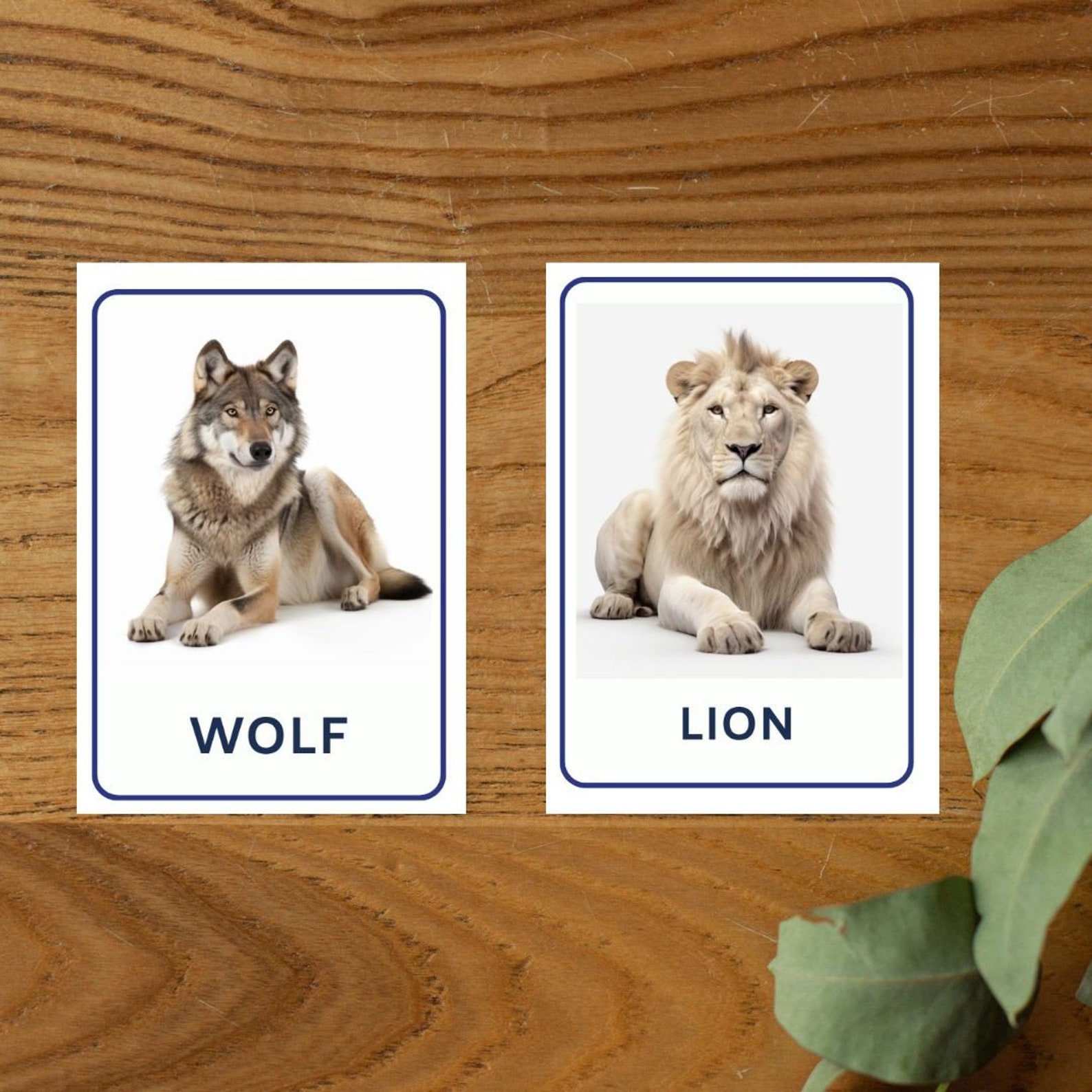 32 Forest Animals Flashcards, Kids Printable, Nomenclature Cards ...