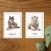 32 Forest Animals Flashcards, Kids Printable, Nomenclature Cards ...