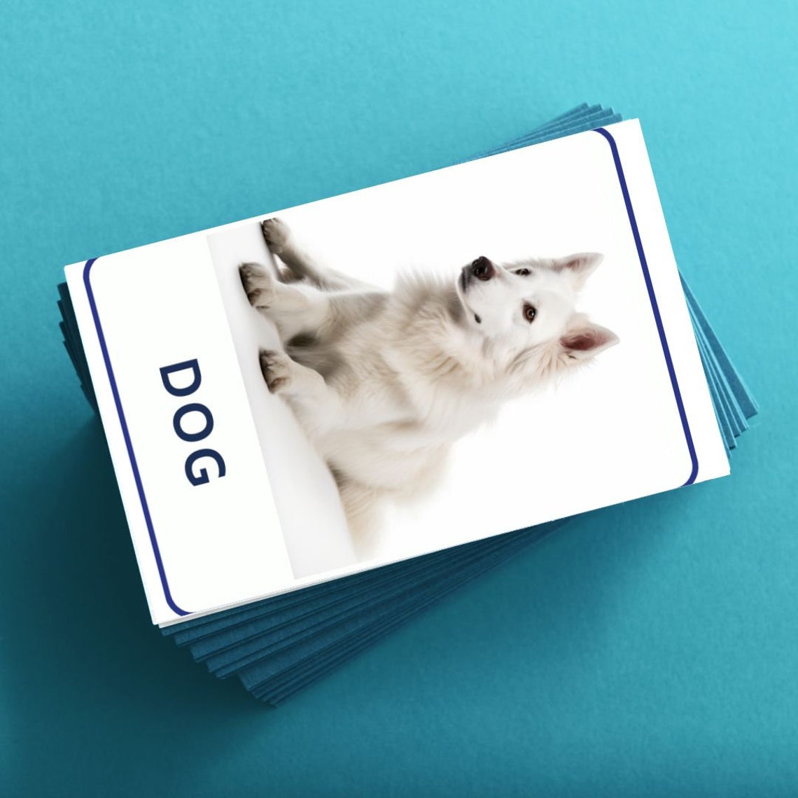 Farm Animals Montessori Flashcards 32 Editable Nomenclature Cards for ...