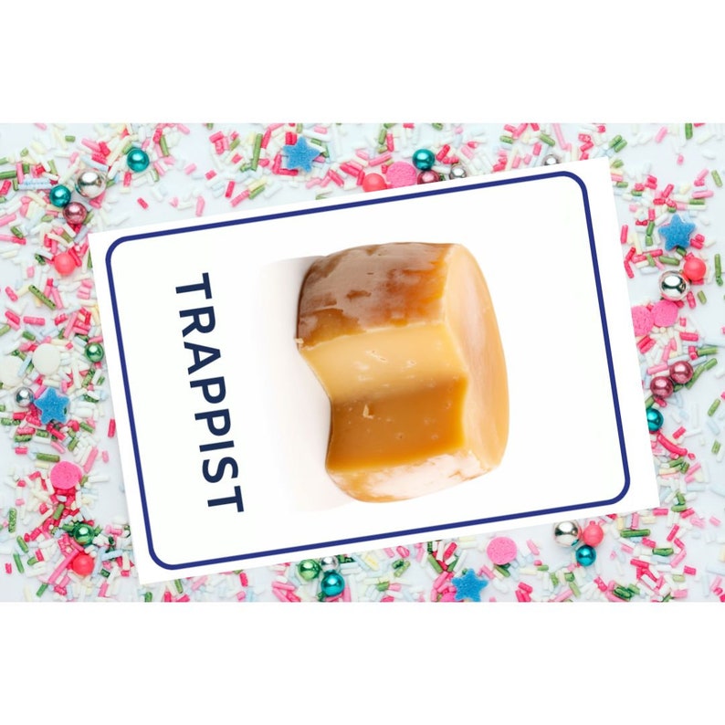 Cheese 32 Montessori Cards, Flash Cards Nomenclature Flashcards ...