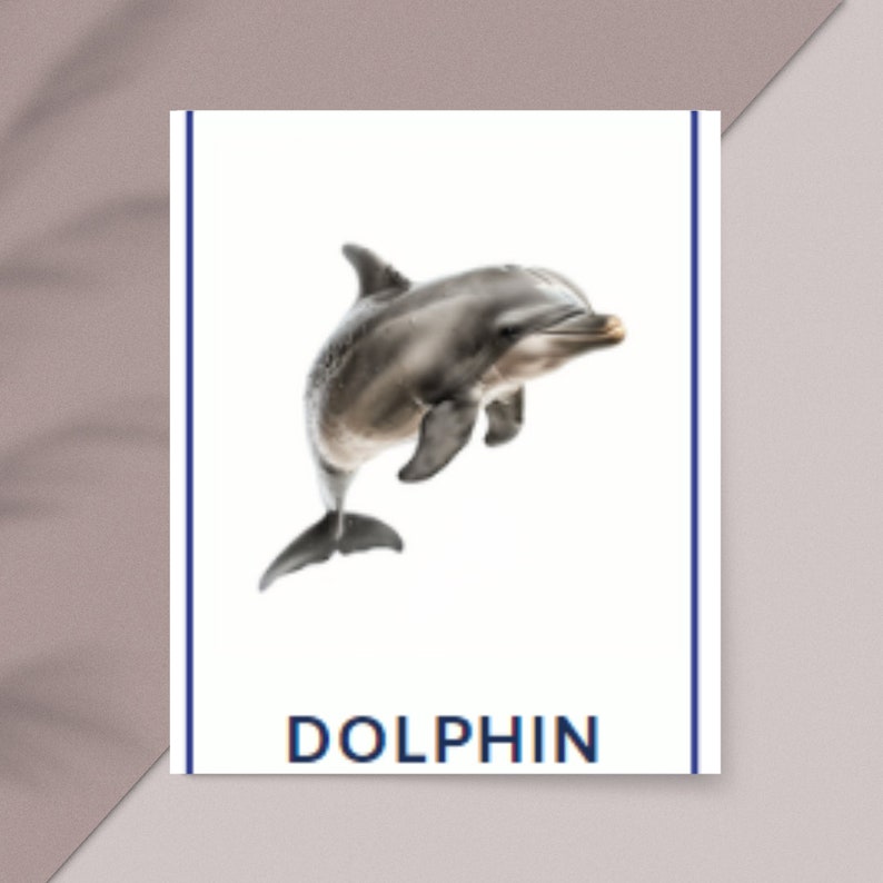 32 Baby Animals Flashcards Designed for Children, Toddler Activity ...